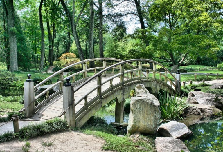 Designing Your Garden for Wildlife: Shelter, Food, Water